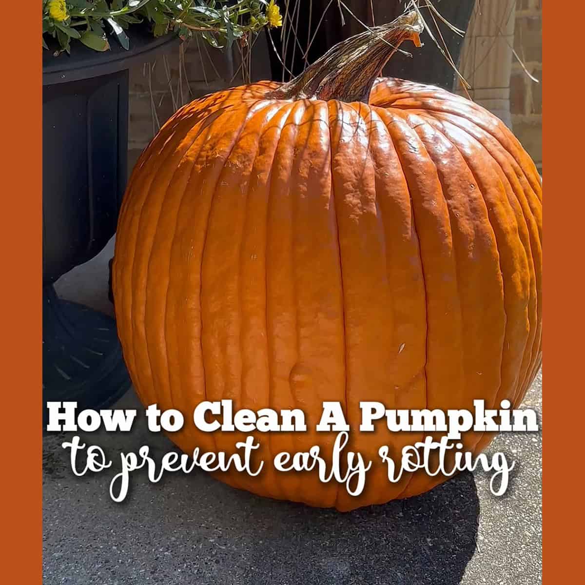 How to Clean a Pumpkin to prevent early rotting - Learned it from My Mom