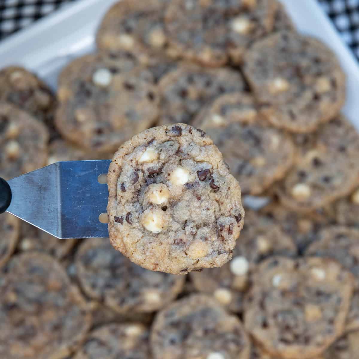 Super chunky Cookies aka PMS Cookies - Learned it from My Mom