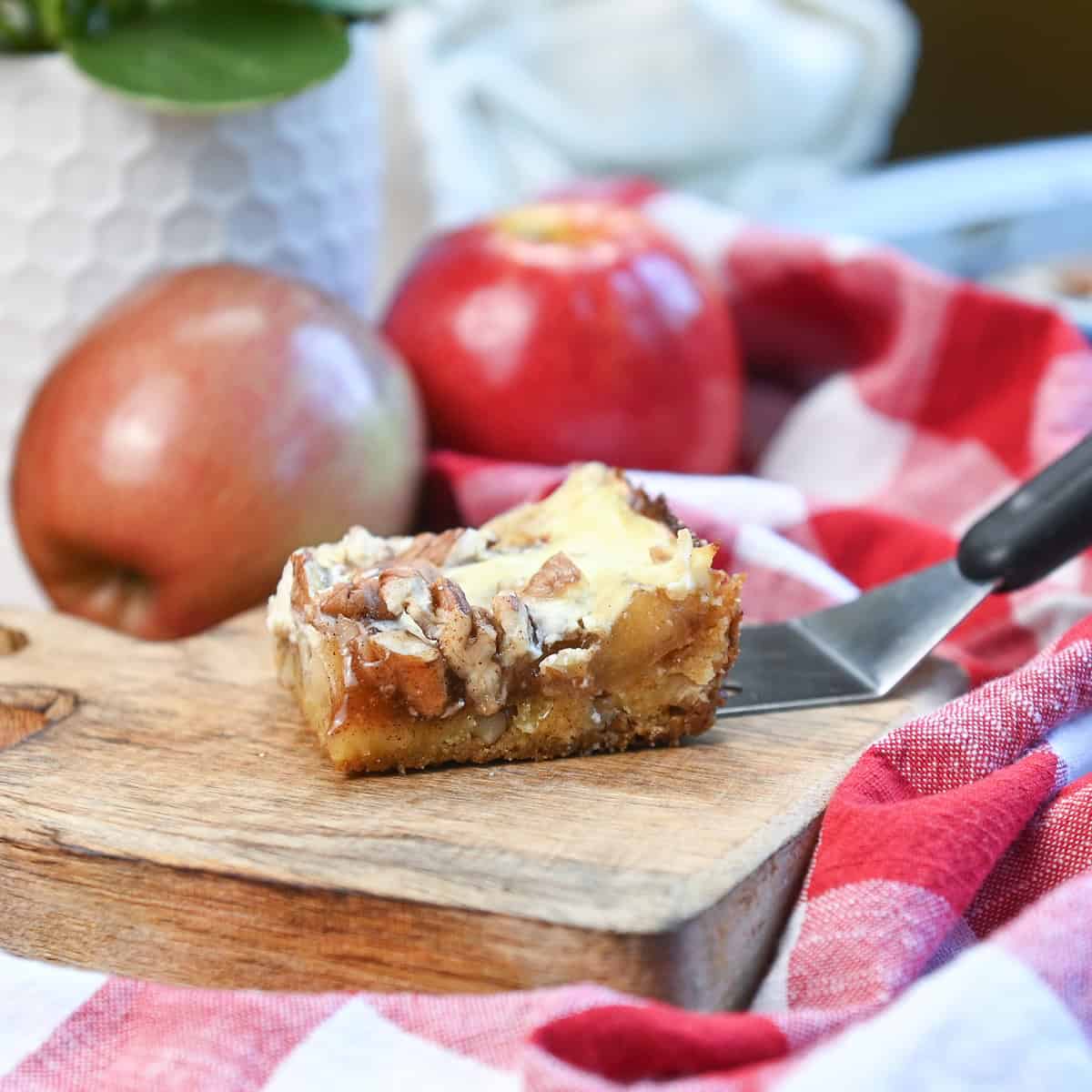 Apple Squares - Learned it from My Mom